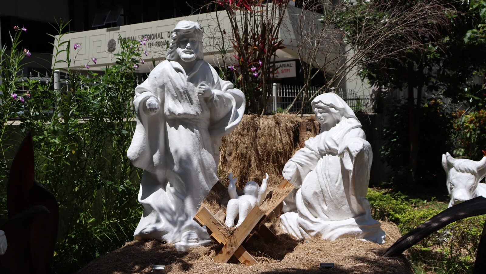 800 anos do primeiro presépio: de Greccio a todos os lugares do mundo ...